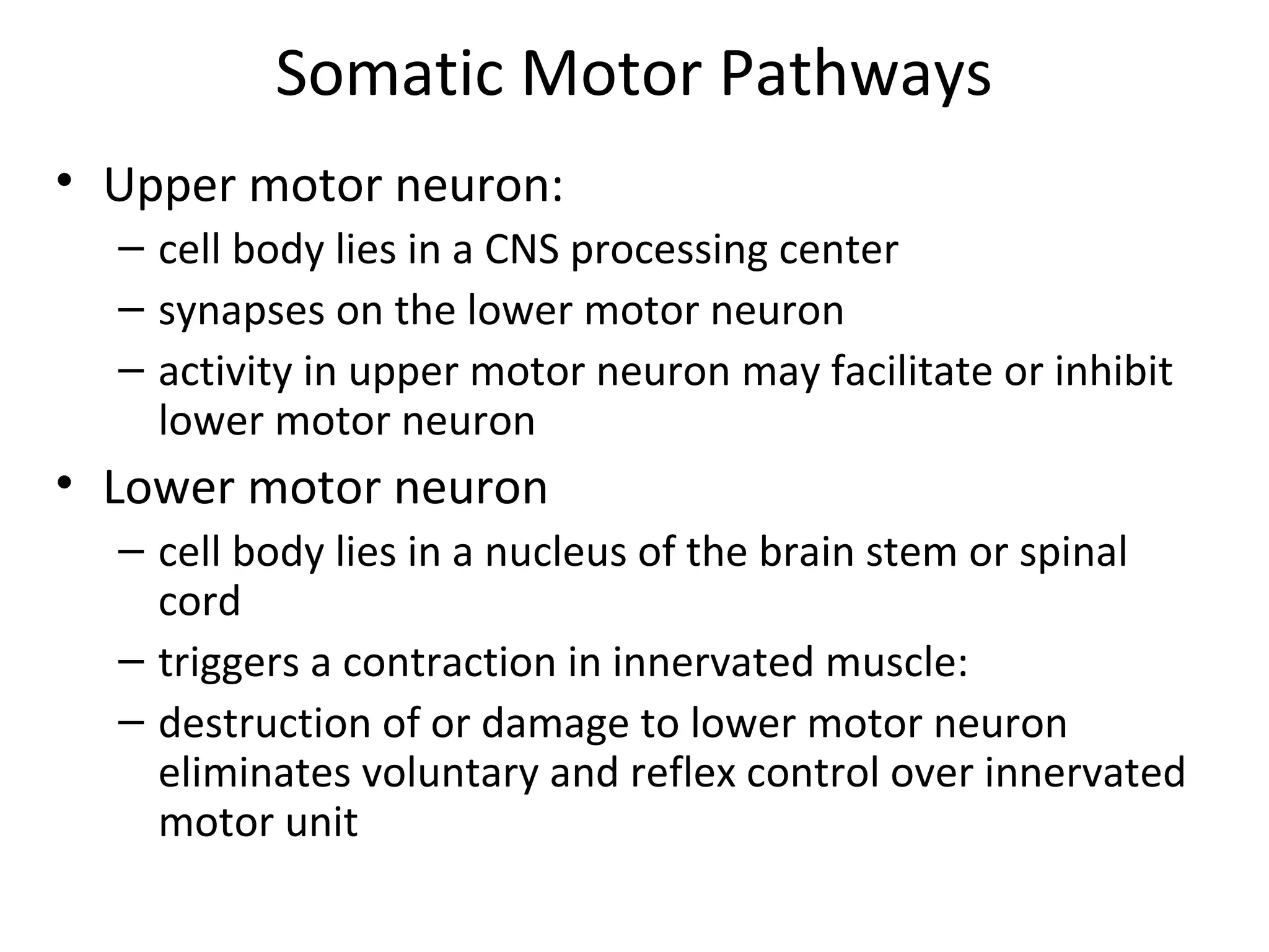 Ch 15 sensory pathways | PPT