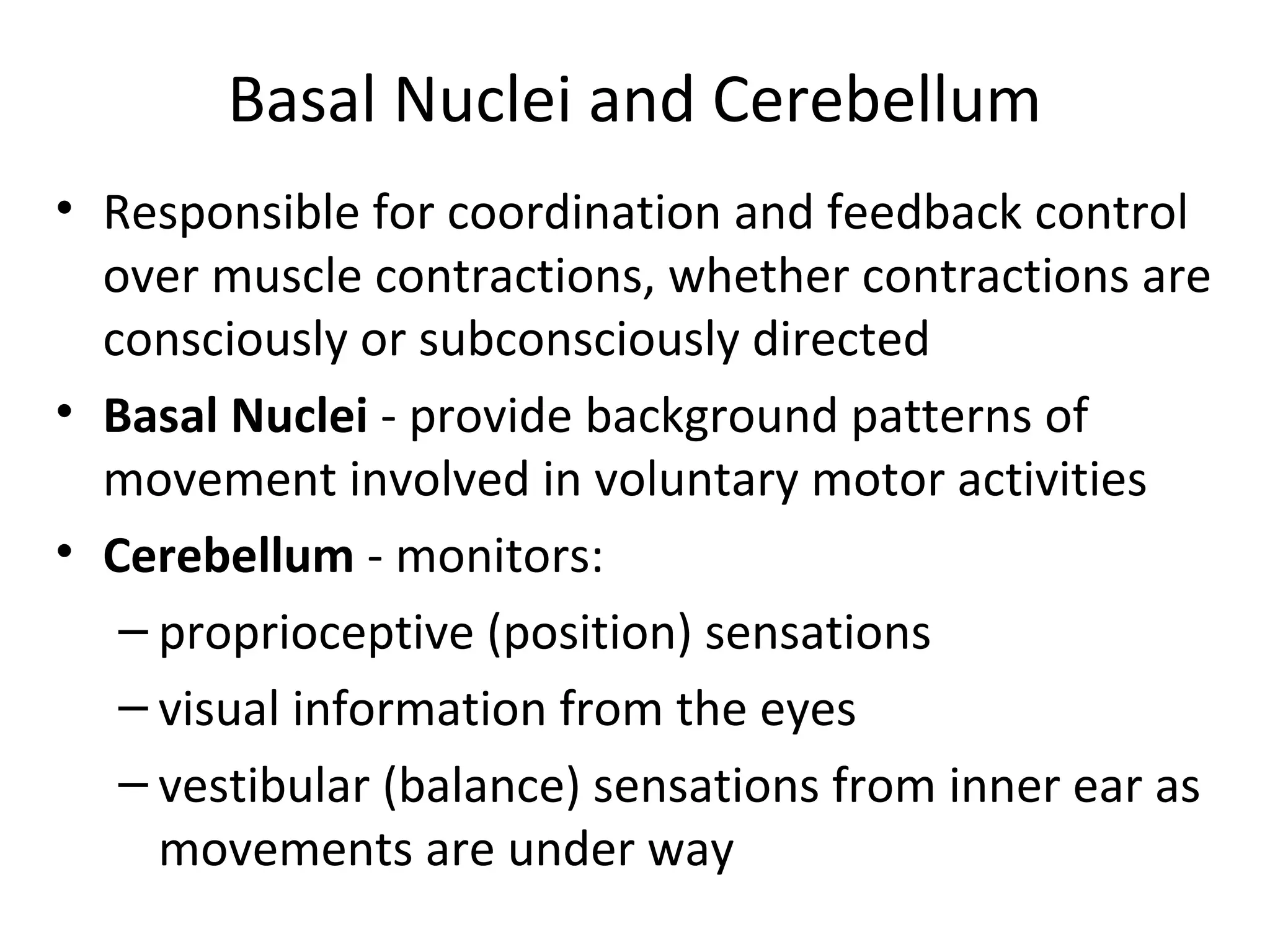 Ch 15 sensory pathways | PPT