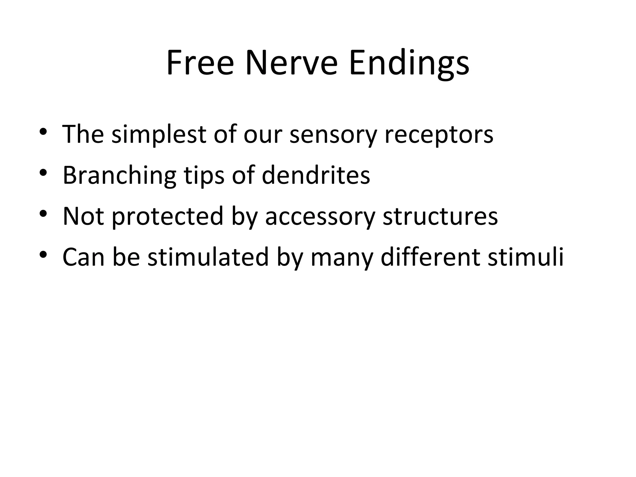 Ch 15 sensory pathways | PPT