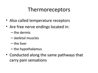 Ch 15 sensory pathways | PPT