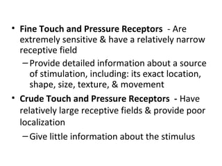 Ch 15 sensory pathways | PPT