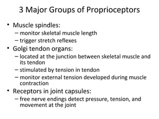 Ch 15 sensory pathways | PPT