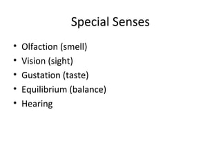 Ch 15 sensory pathways | PPT