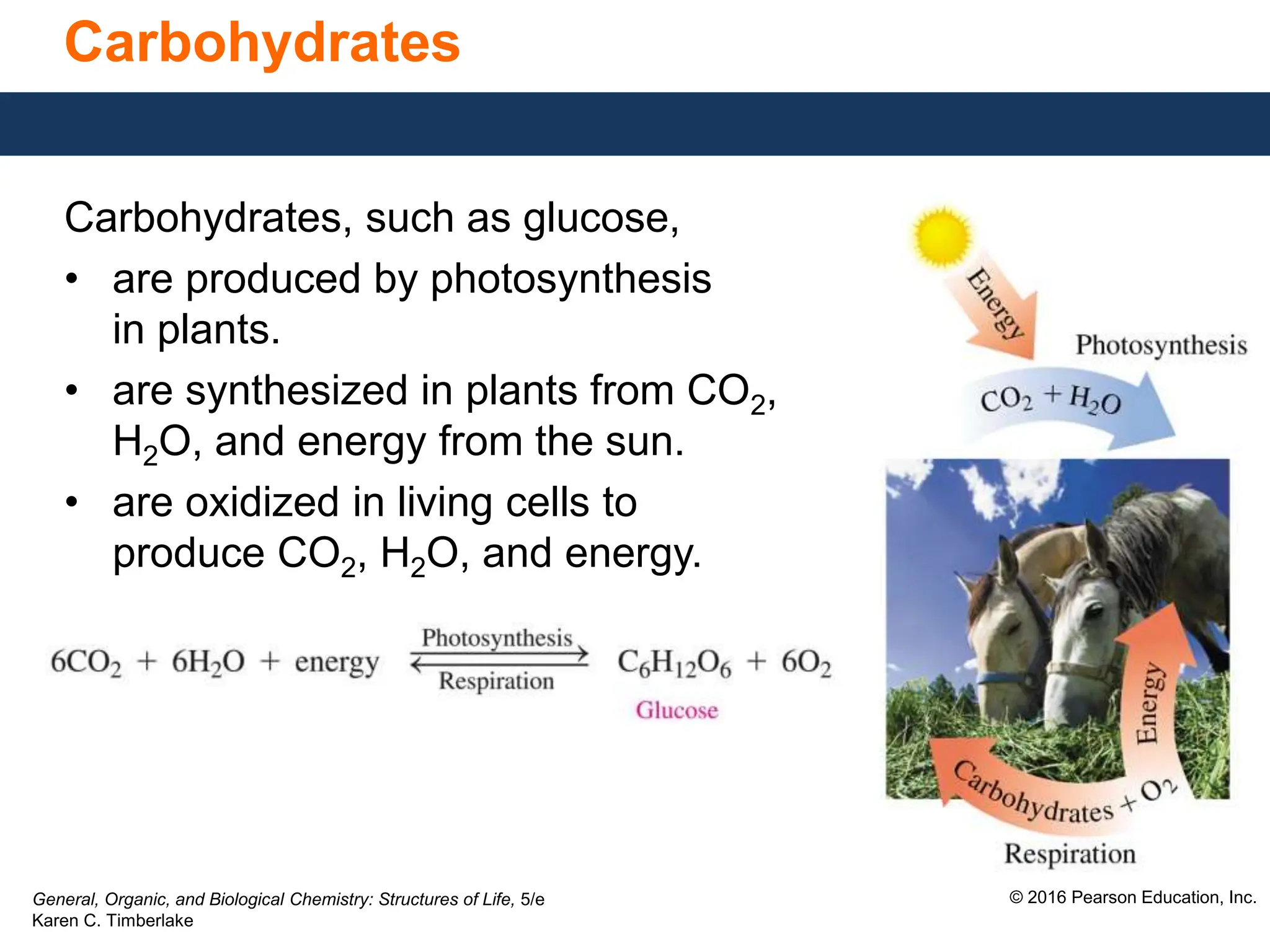 CH15_1_Carbohydrates_GOB_Structures_5th_ed.pptx