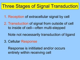 Ch15 Cell Signaling and Communication.ppt