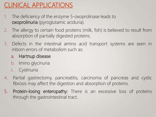 Digestion of proteins (1).ppt