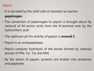 Digestion of proteins (1).ppt