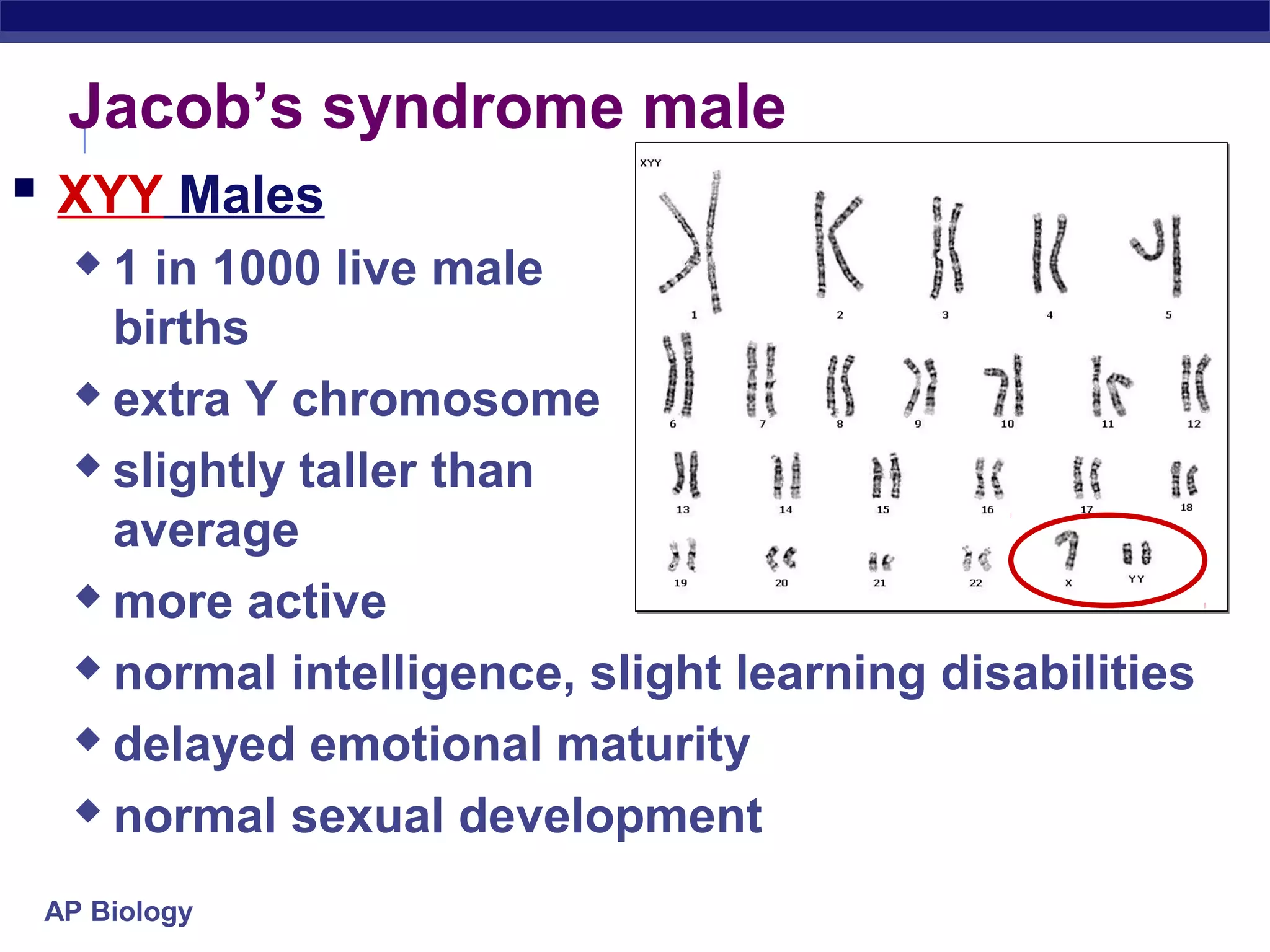Errors of meiosis | PPT