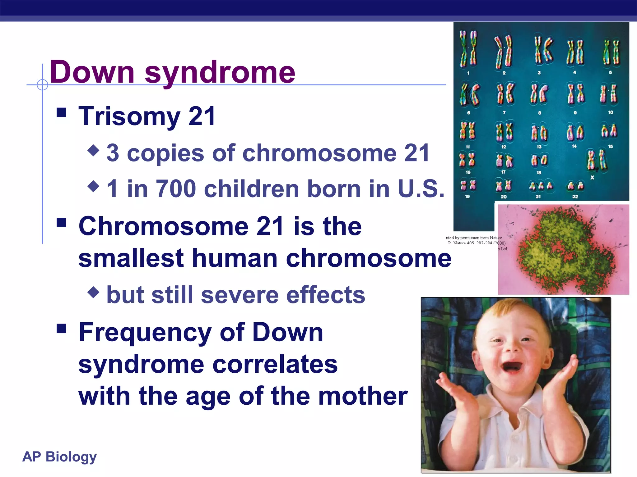 Errors of meiosis | PPT
