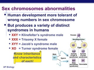 Errors of meiosis | PPT