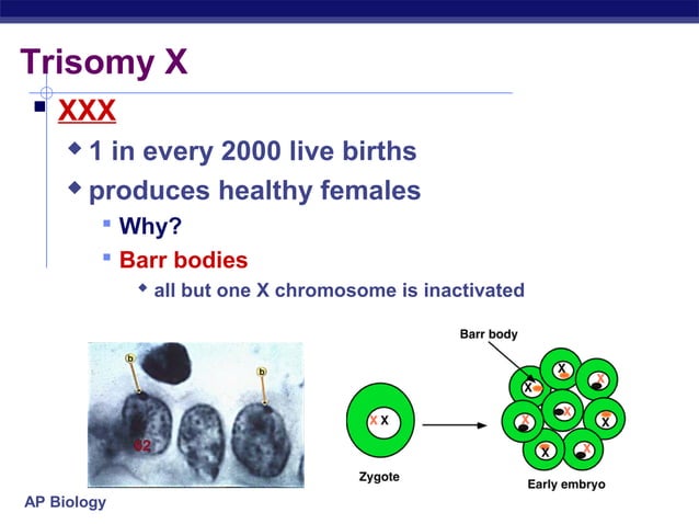 Errors of meiosis | PPT | Reproductive Health | Diseases and Conditions