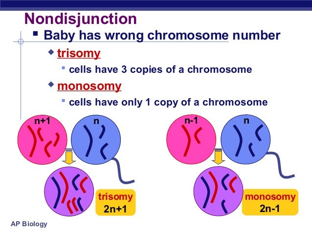 Errors of meiosis