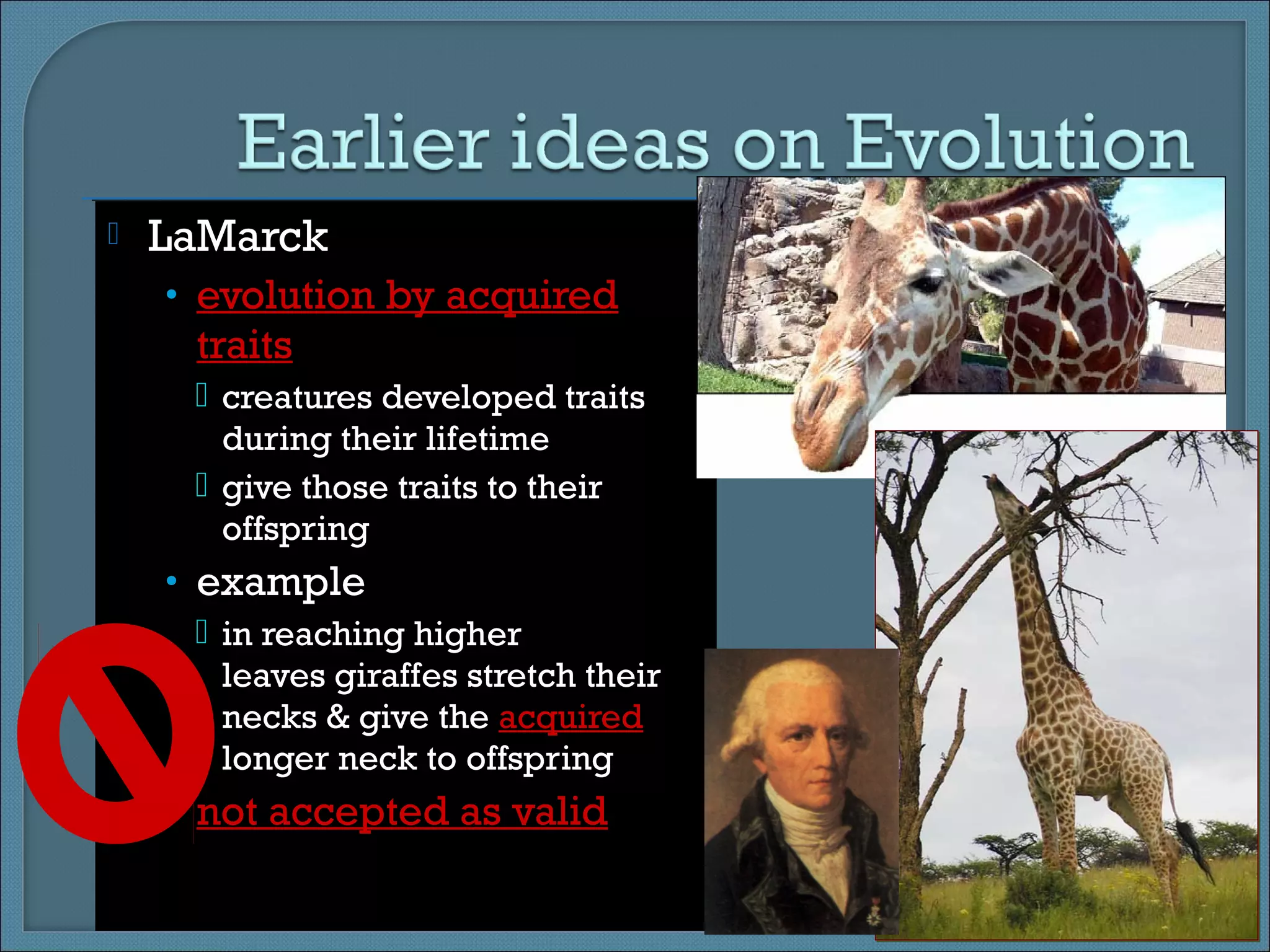 Ch 15 evolution 1 8-2013 | PPT | Geology | Science