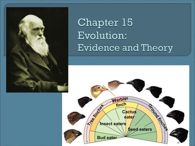 Ch 15 evolution 1 8-2013 | PPT