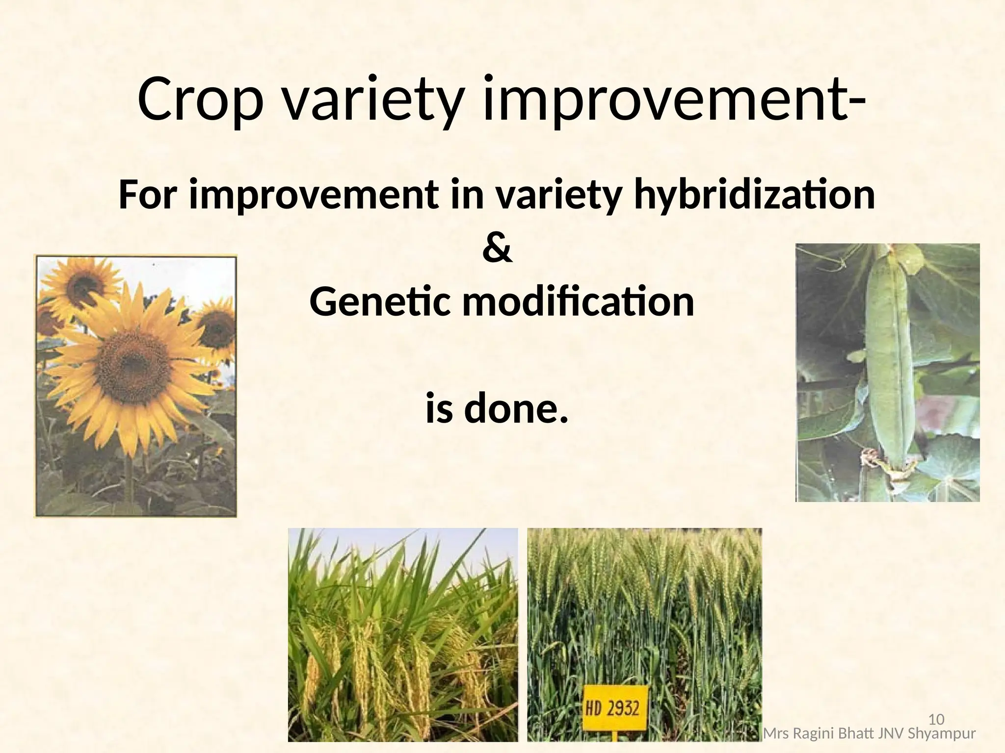 Ch 15 Improvement in Food Resources 1.pptx