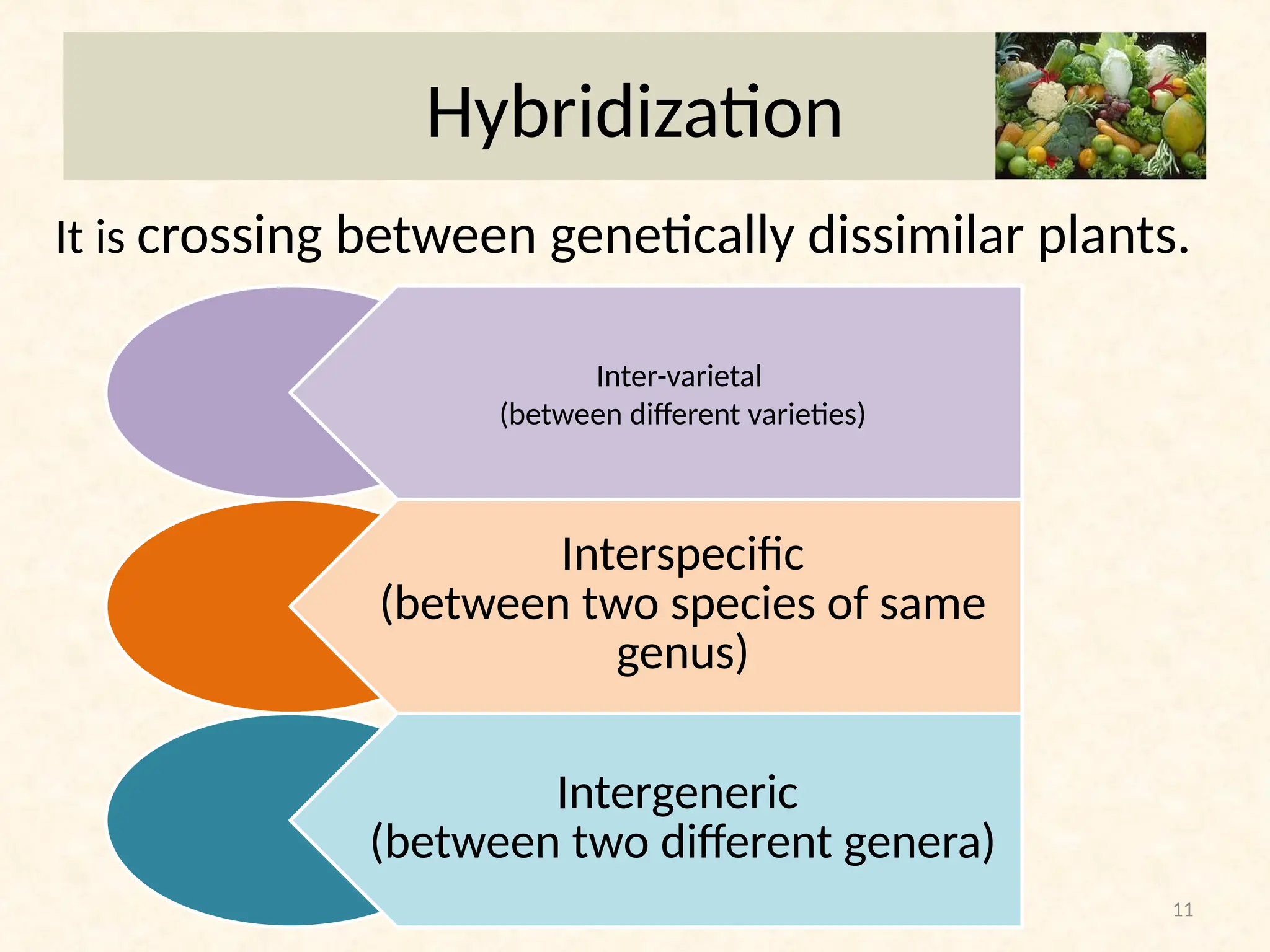 Ch 15 Improvement in Food Resources 1.pptx
