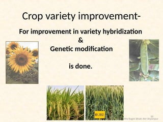 Ch 15 Improvement in Food Resources 1.pptx
