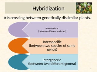 Ch 15 Improvement in Food Resources 1.pptx