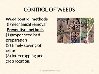 Ch 15 Improvement in Food Resources 1.pptx