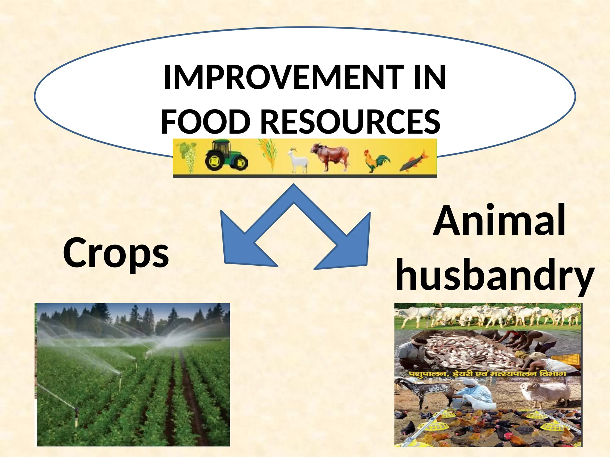 Ch 15 Improvement in Food Resources 3.pptx