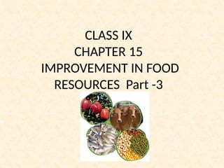 Ch 15 Improvement in Food Resources 3.pptx