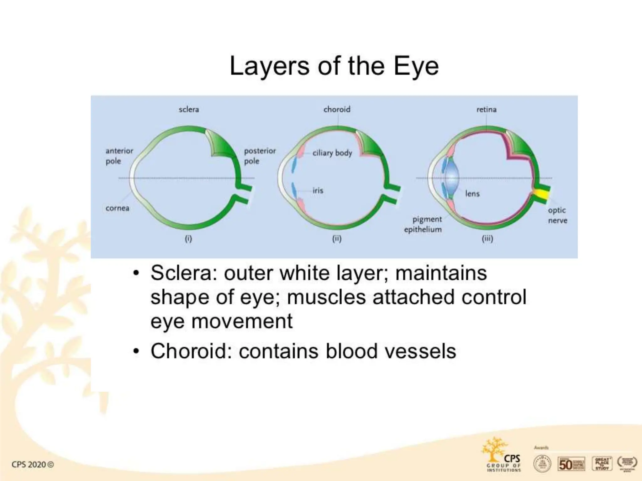 Ch15 Light Reflection Refraction Light Energy Pptx
