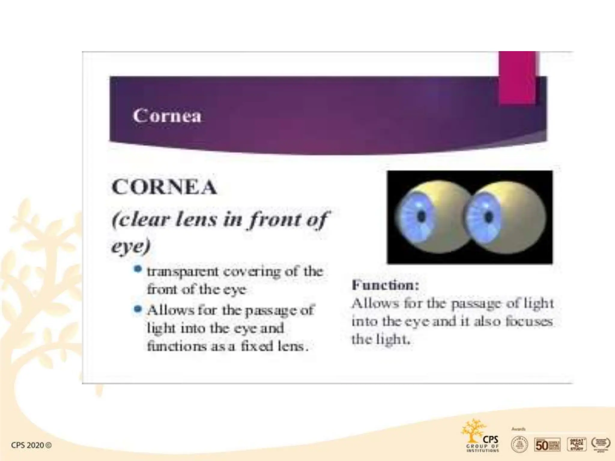 Ch15 Light Reflection Refraction Light Energy Pptx