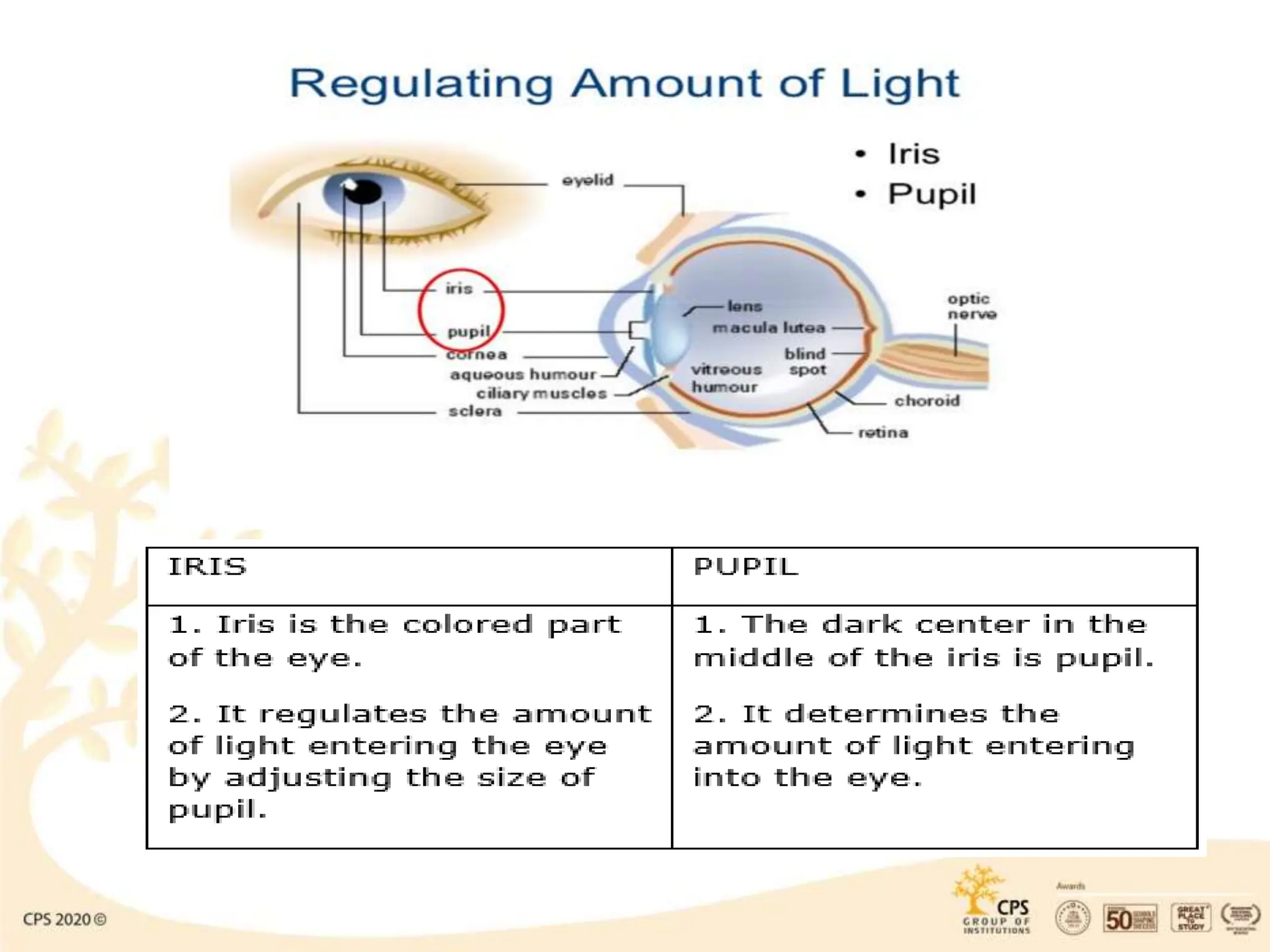 CH15 LIGHT reflection refraction light energy.pptx