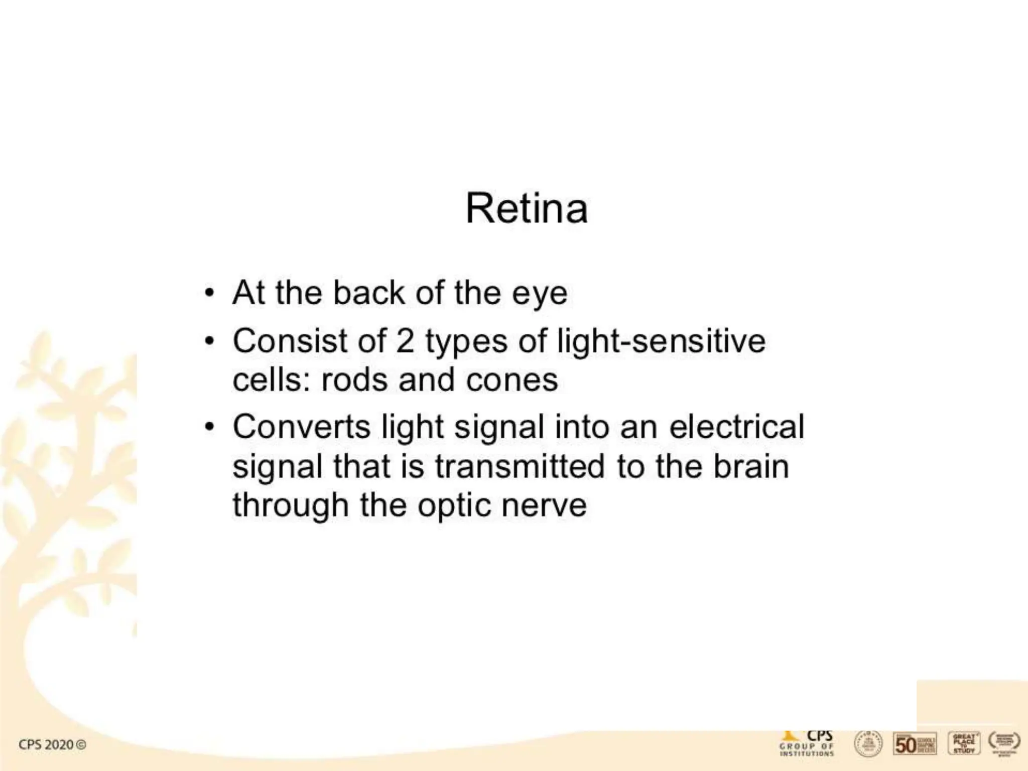 Ch15 Light Reflection Refraction Light Energy Pptx