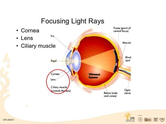 Ch15 Light Reflection Refraction Light Energy Pptx