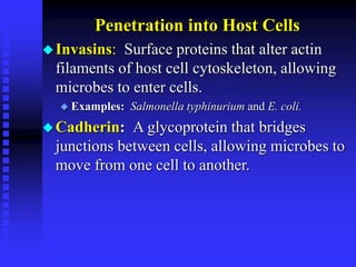 Ch15 pathogenesis | PPT