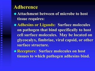 Ch15 pathogenesis | PPT