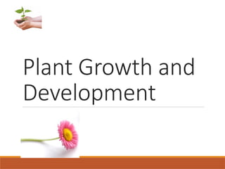Ch 15 Plant Growth and Development 1.pptx