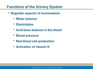Ch15ppt urinary standard | PPT