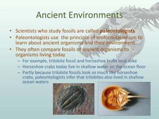 Chapter 16.1: Fossils | PPTX