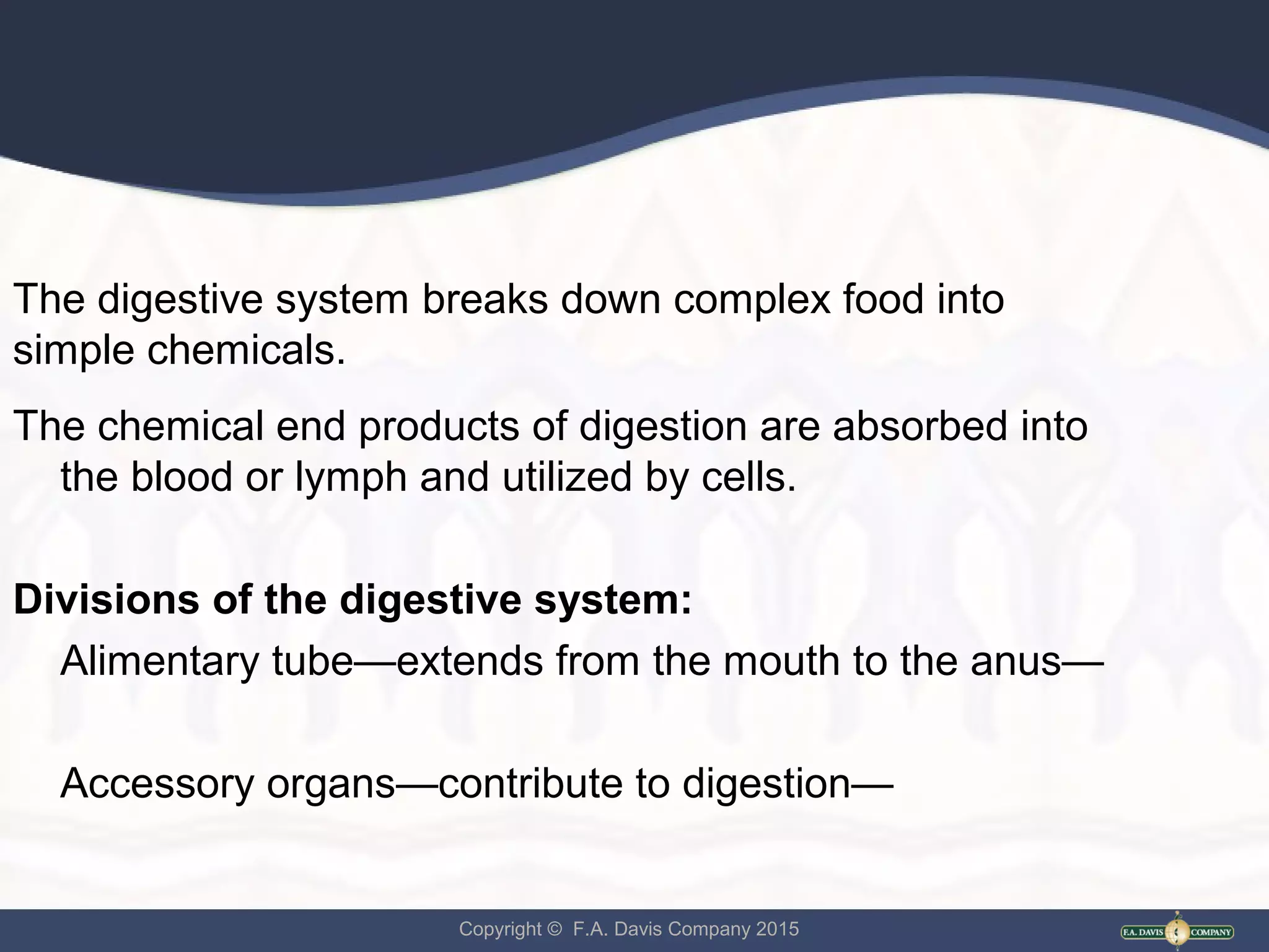 Ch 16 Digestive system | PPT