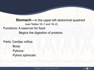 Ch 16 Digestive system | PPT