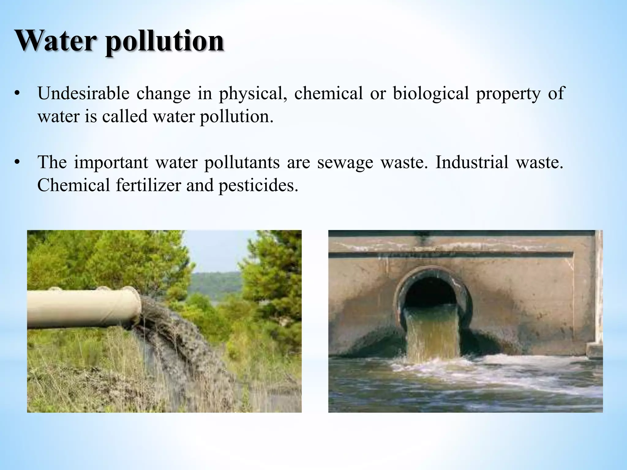 Ch 16 - Environmental issues || Class 12 || | PPTX