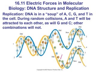 Electric Charge and Electric Field Lecture | PPTX