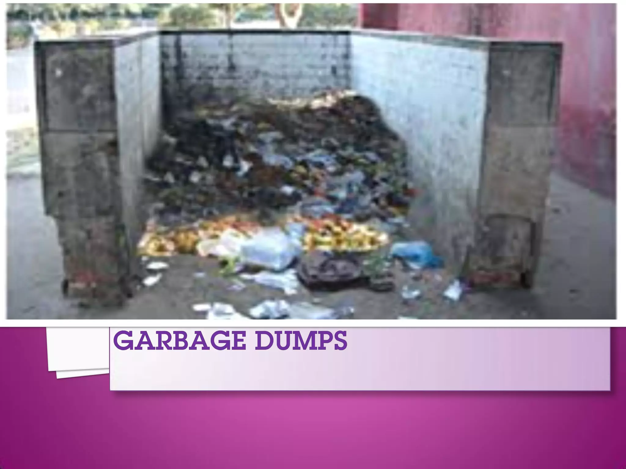 Ch 16 garbage in garbage out | PDF