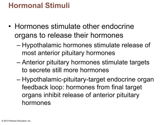 HUMAN ANATOMY AND PHYSIOLOGY: THE ENDOCRINE SYSTEM | PPT