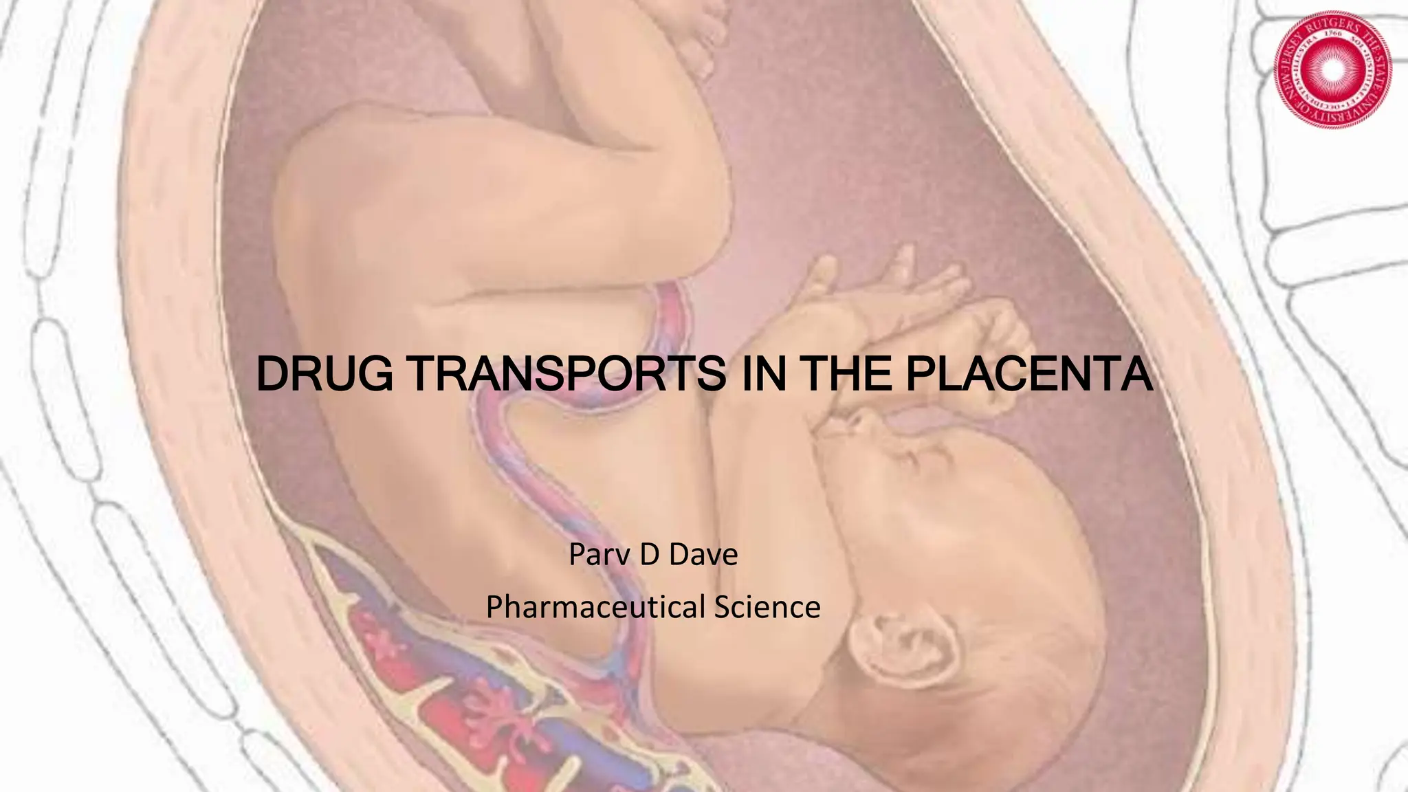 Drug Transporters in Placenta | PPTX