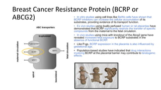 Drug Transporters in Placenta | PPTX