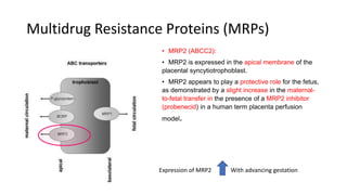Drug Transporters in Placenta | PPTX