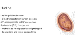 Drug Transporters in Placenta | PPTX