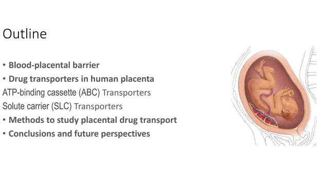 Drug Transporters in Placenta | PPTX | Pregnancy | Reproductive Health