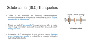 Drug Transporters in Placenta | PPTX