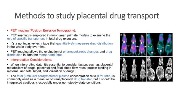 Drug Transporters in Placenta | PPTX | Pregnancy | Reproductive Health