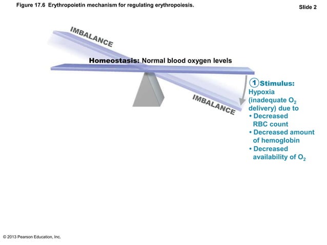 _ch_17_lecture_presentation.ppt | Free Download