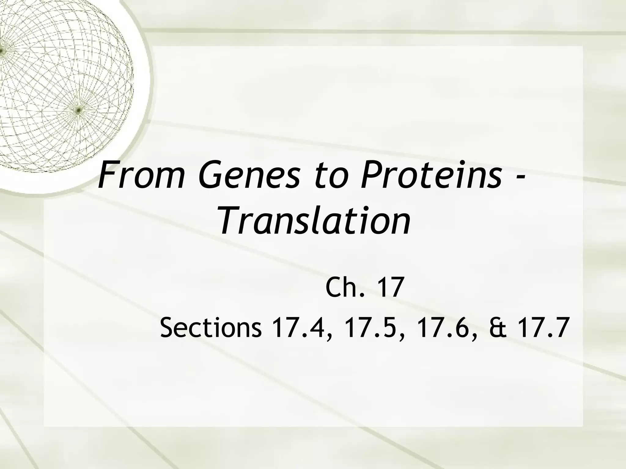 AP Bio Ch 17 part 2 translation | PPT